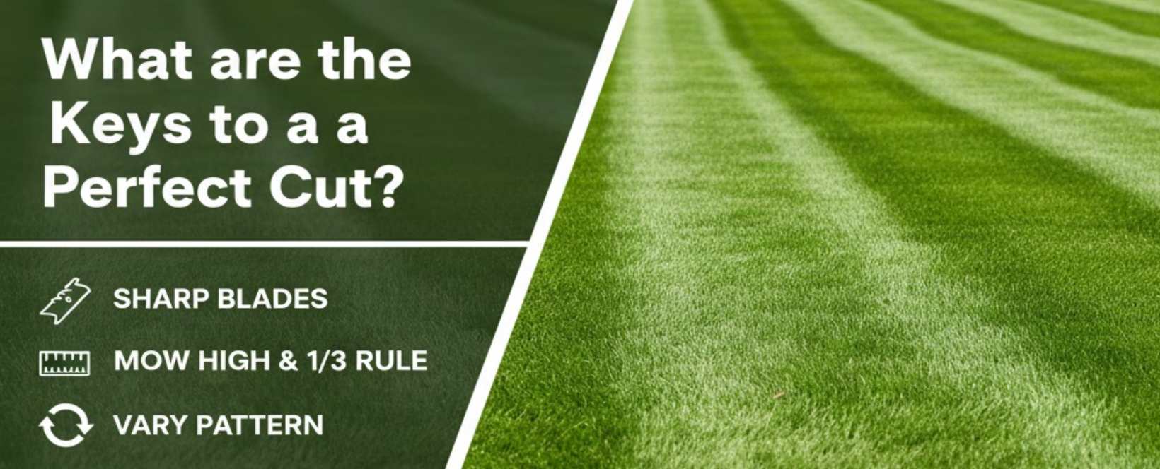 Keys to a Perfect Lawn Cut | Catoe's Power Equipment